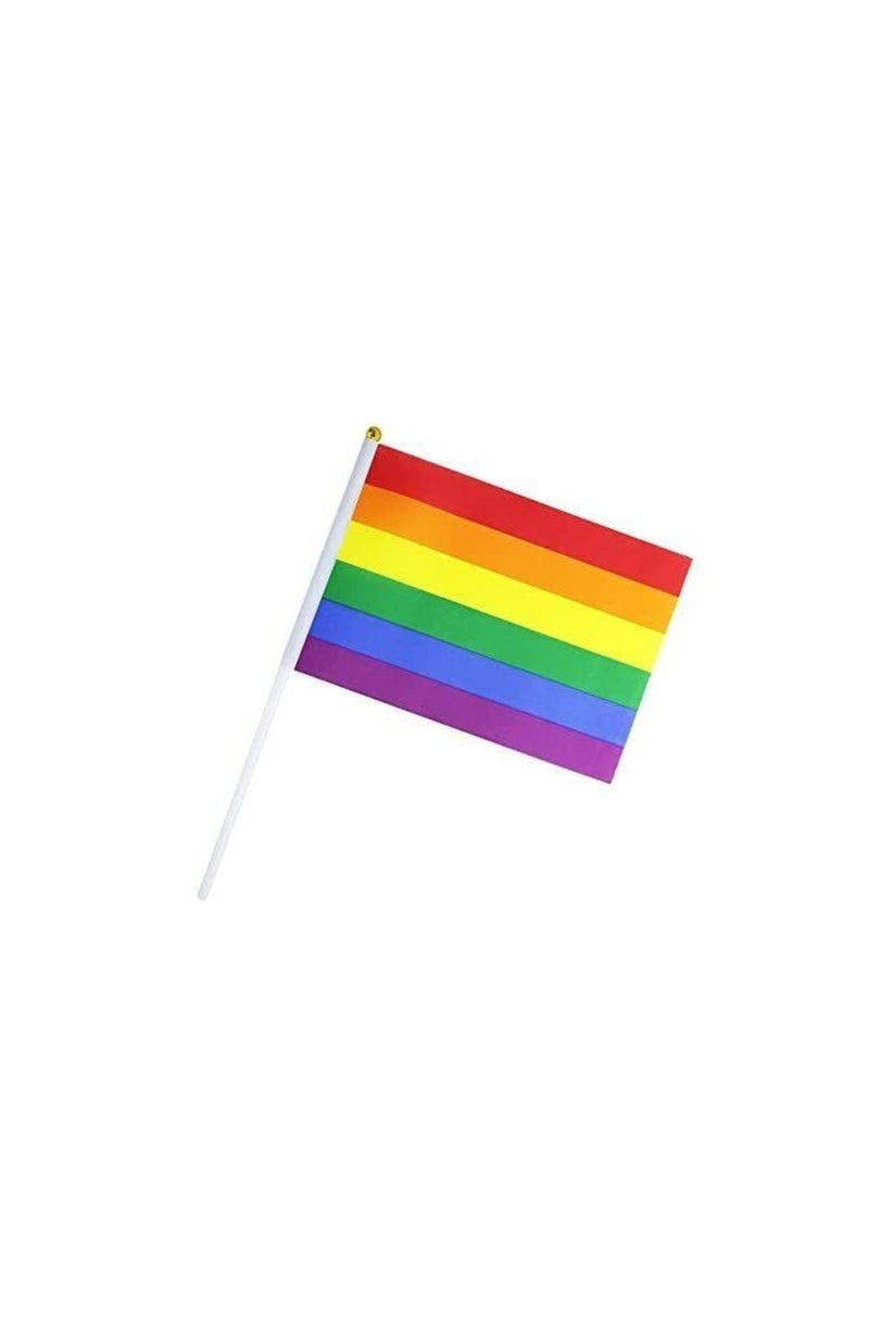 Mini Hand-Held Rainbow Pride Flag Perth | Hurly-Burly