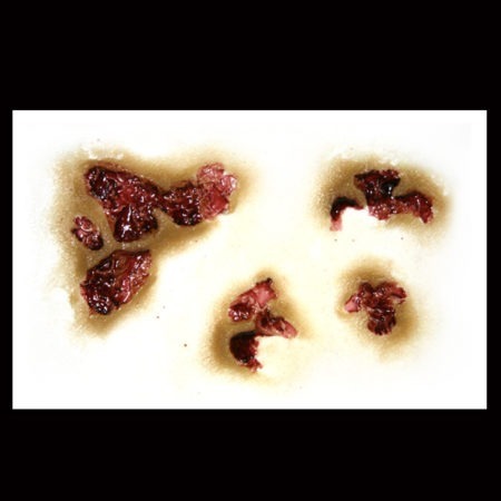 Posh Temporary Neck Tattoos Perth | Hurly Burly - Hurly-Burly